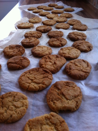 Heavitree Fun Day – Exeter Babies