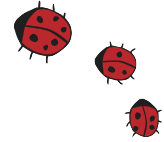 Exeter-Babies-ladybirds – Exeter Babies