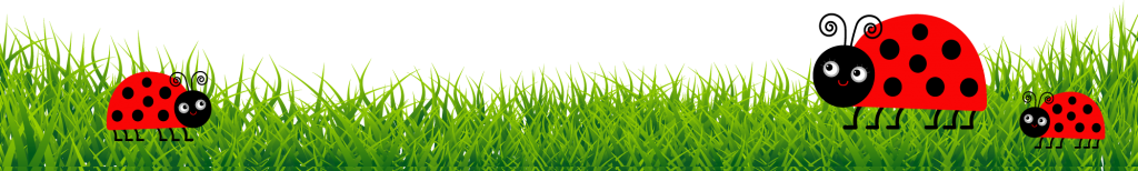 Playgroups – Exeter Babies