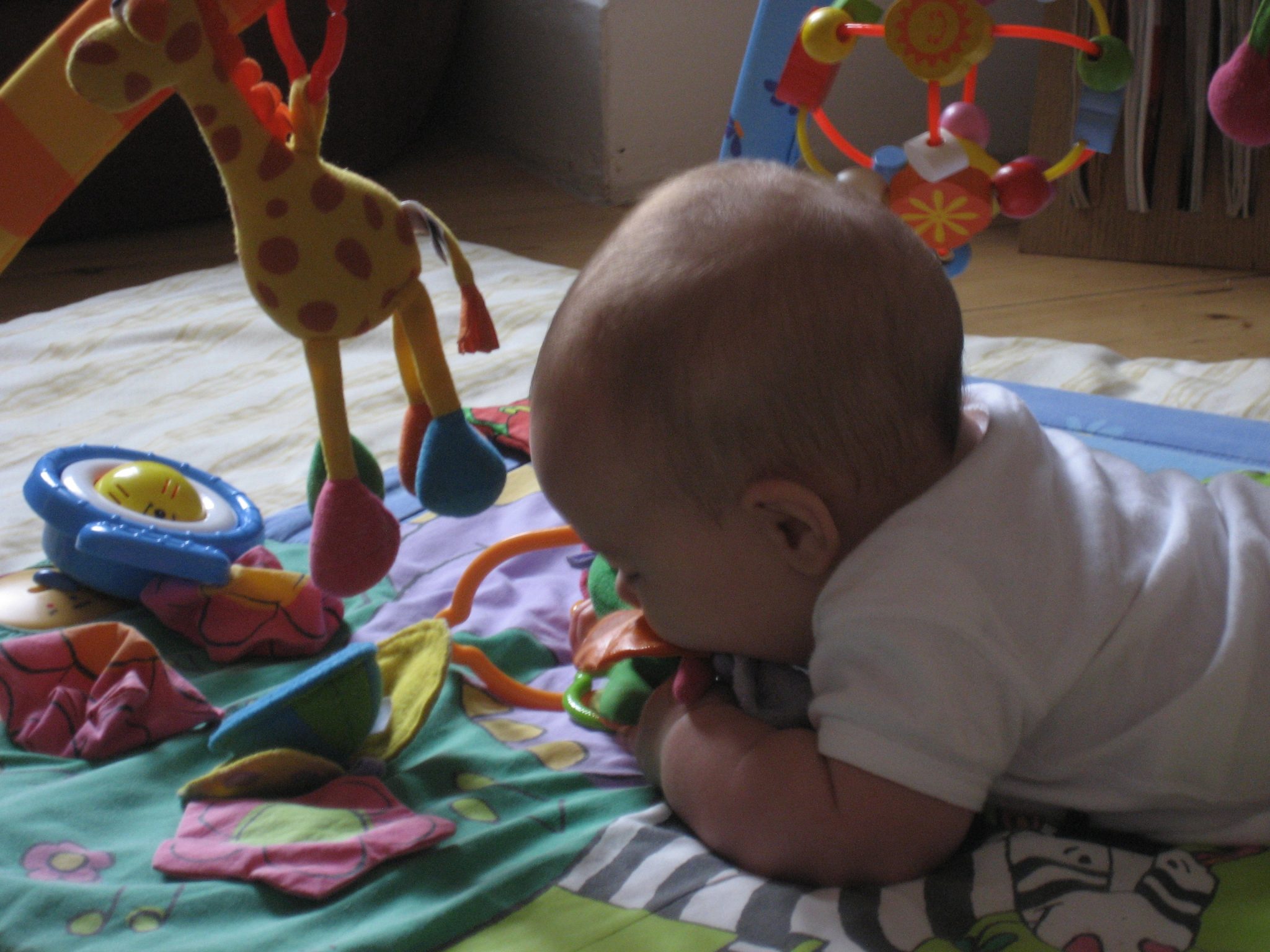 Tuesday – Exeter Babies