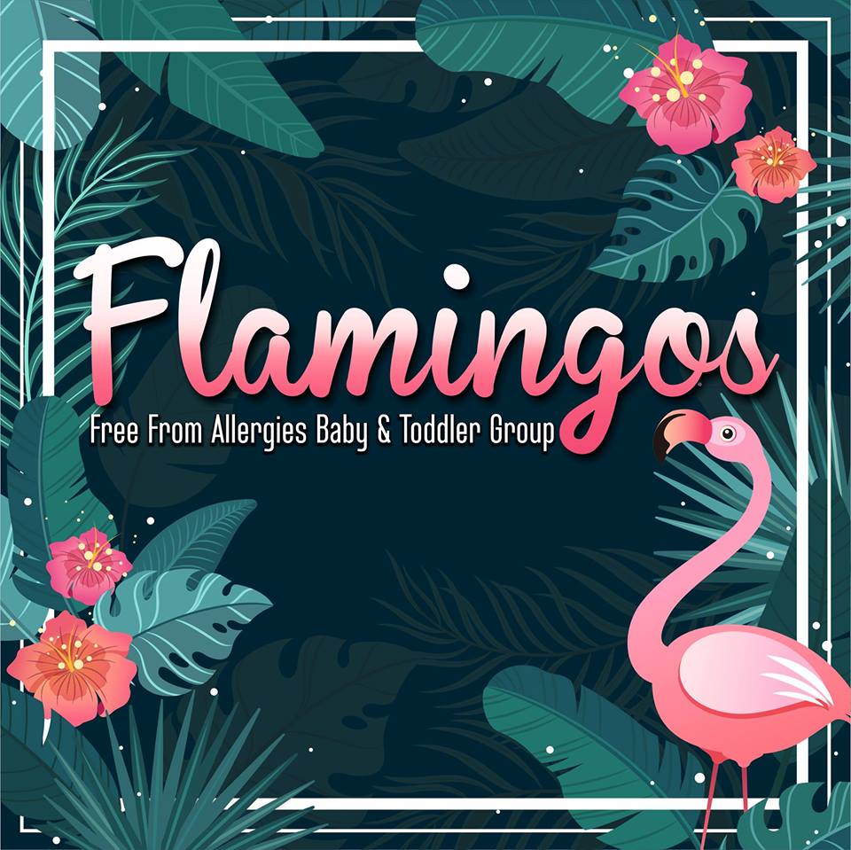 Friday – Exeter Babies